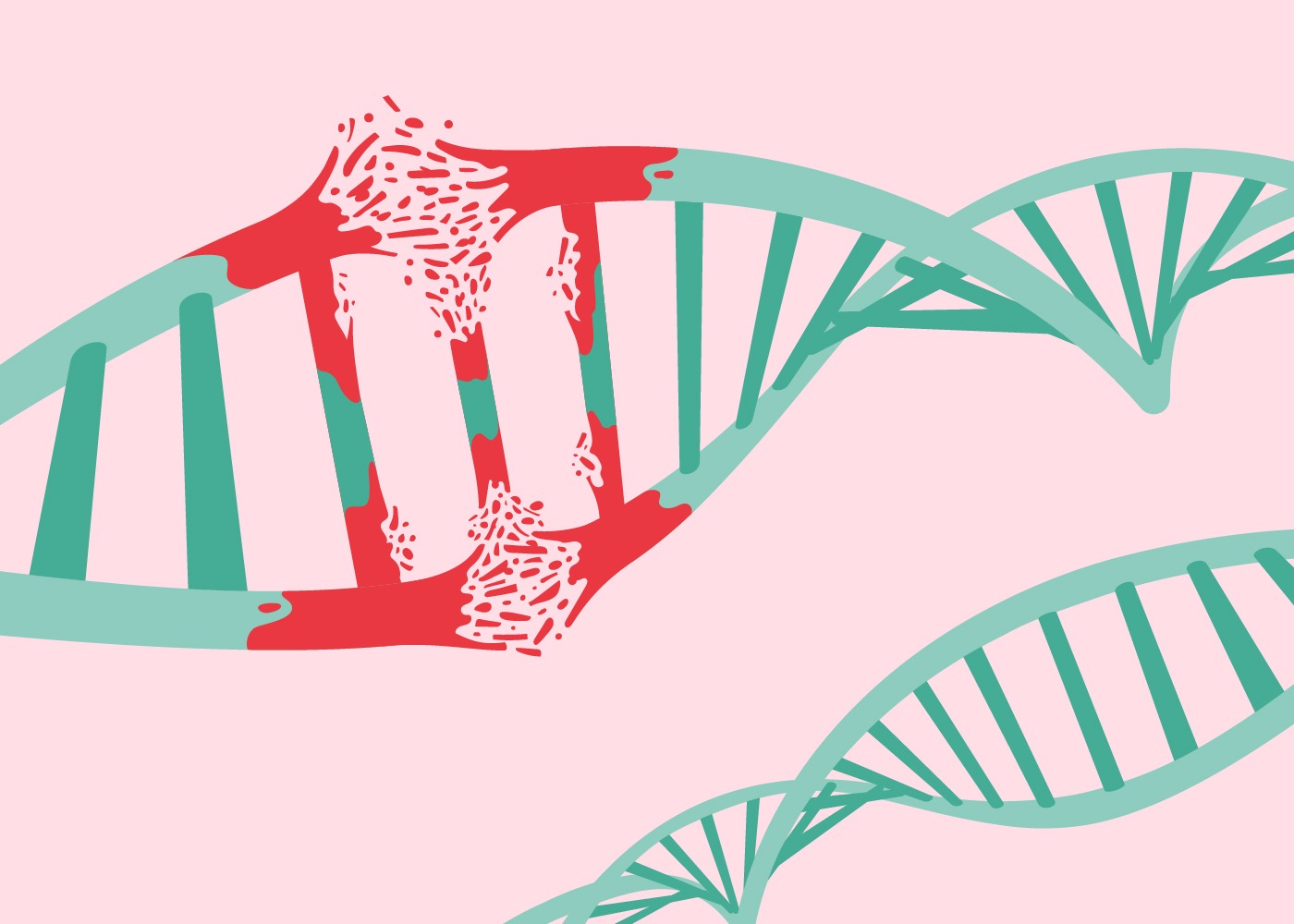 zedoresertib (Debio 0123) - Debiopharm